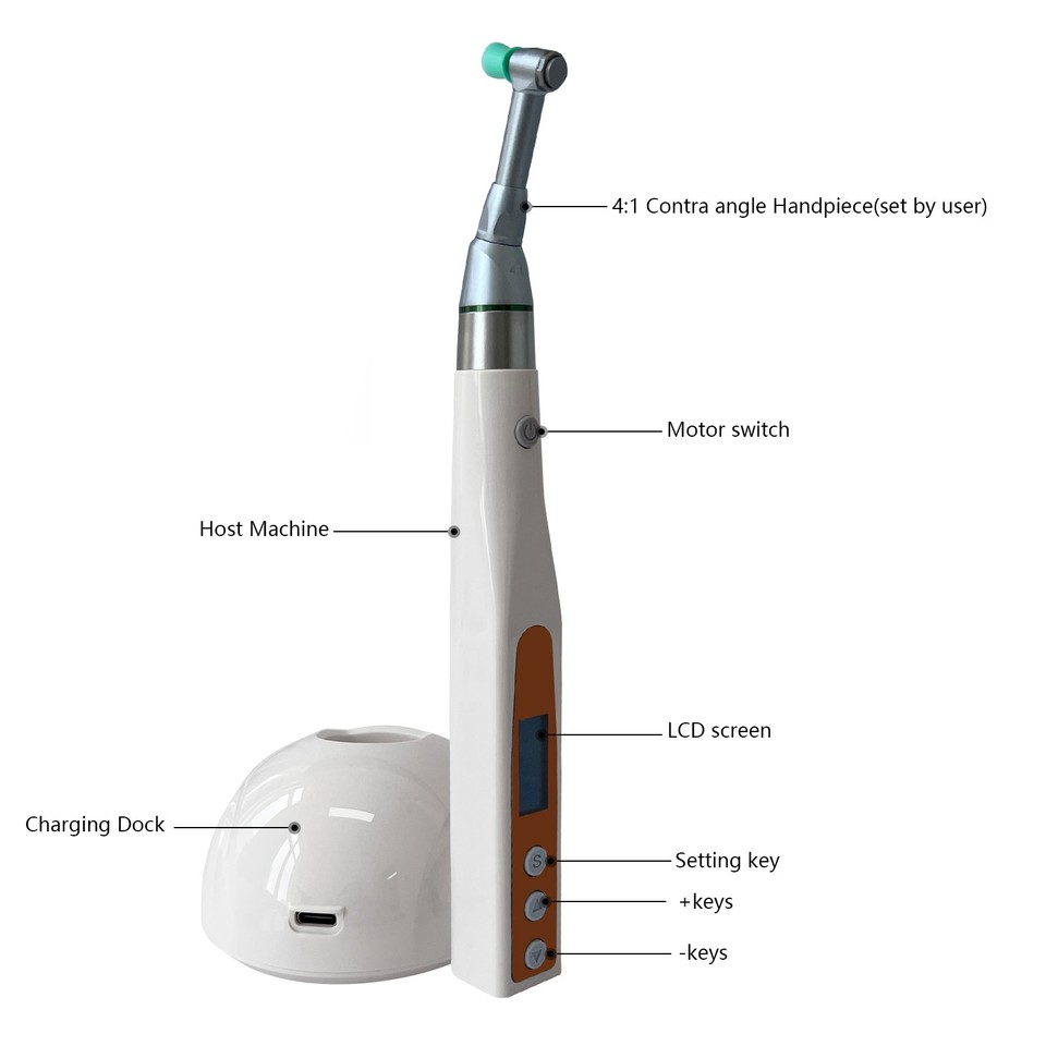 Dental Cordless Hygiene profilassi Handpiece 360°Swivel Polishing ...