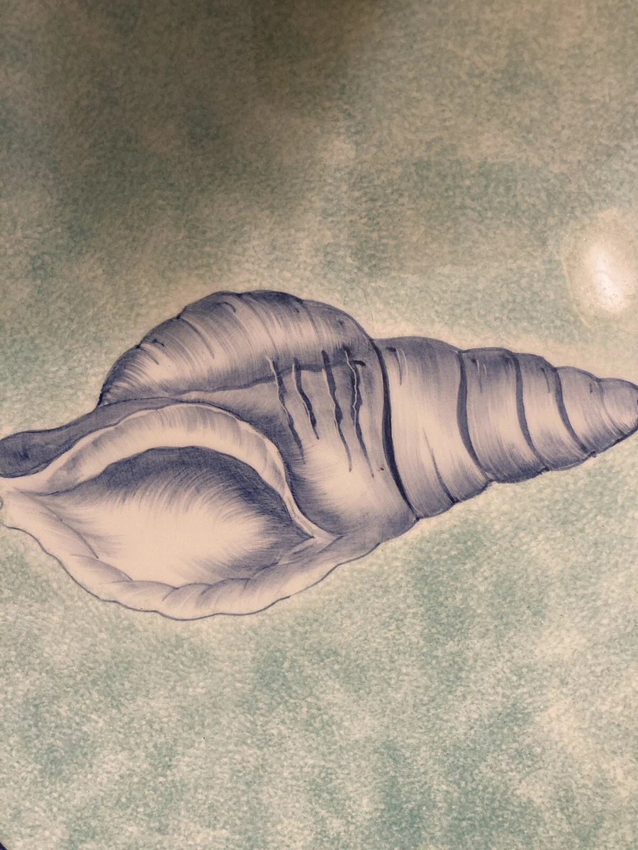 Broken Conch Shell Drawing