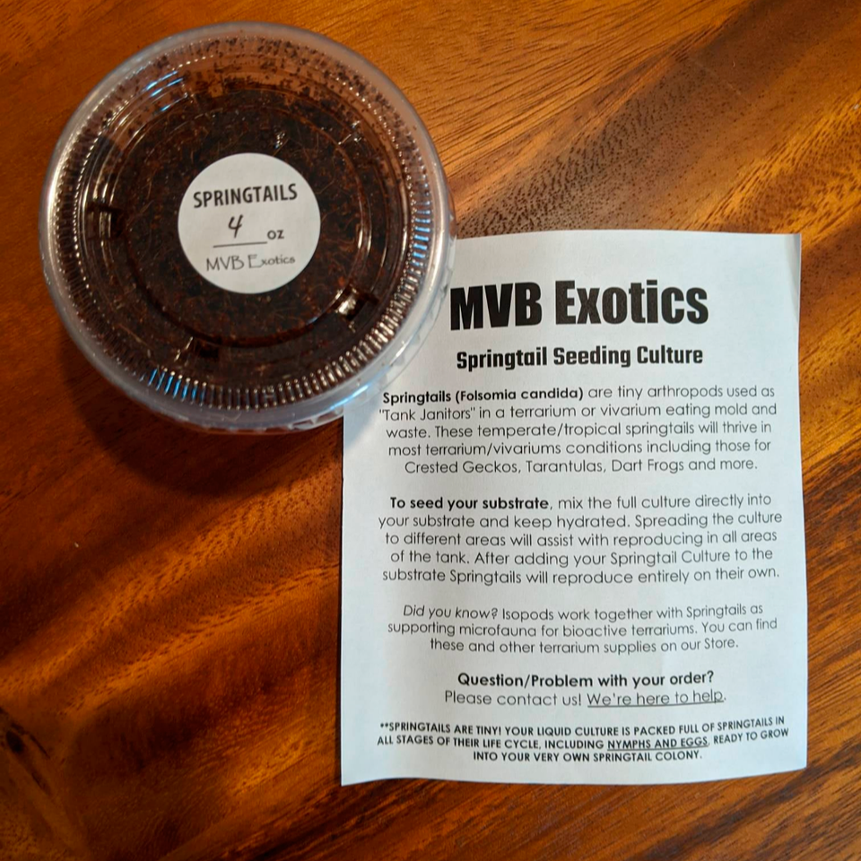 Springtails Culture Tropical Temperate | Bioactive Terrarium Live Clean ...