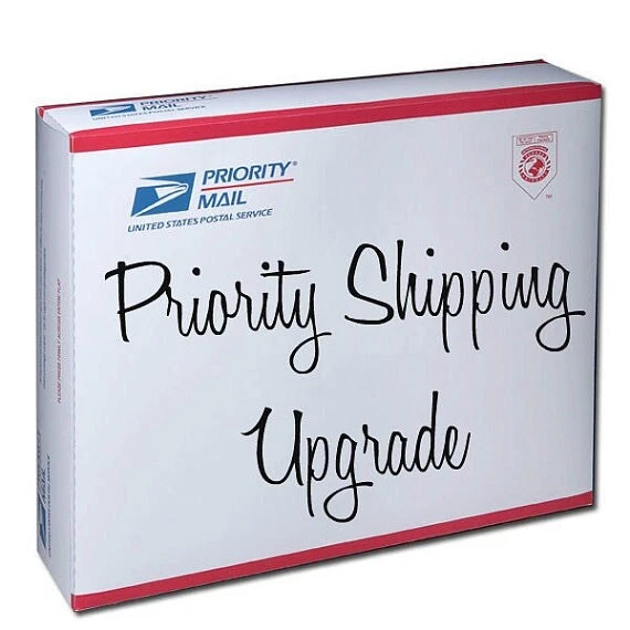 Priority Mail Padded Flat Rate Envelope