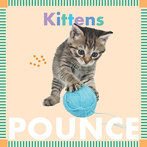 KITTENS POUNCE (AMICUS INK BOARD BOOKS) By Rebecca Glaser *Excellent Condition* 9781681521978 | eBay