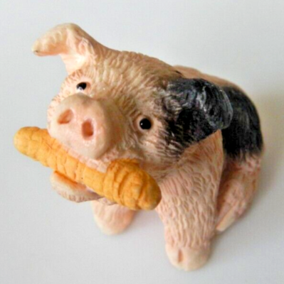 Pig Eating Corn On The Cob