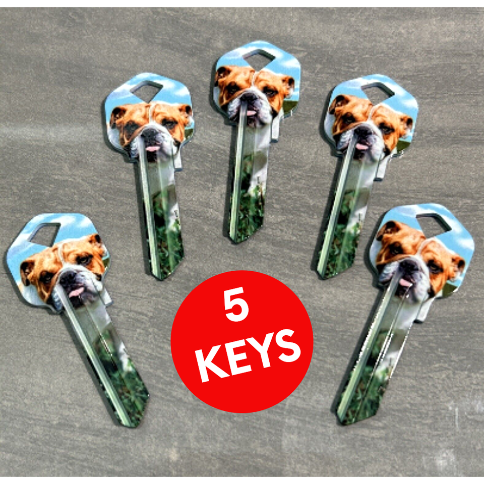 5X BULLDOG Uncut NEW House Key Blank-HOME HOUSE KEYS KWIKSET KW-1 | eBay