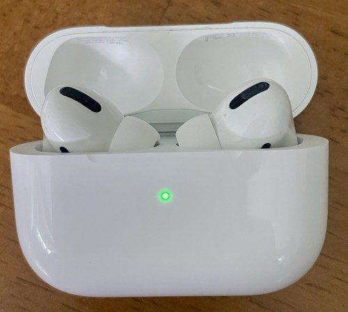 Apple Earpod Pro | eBay