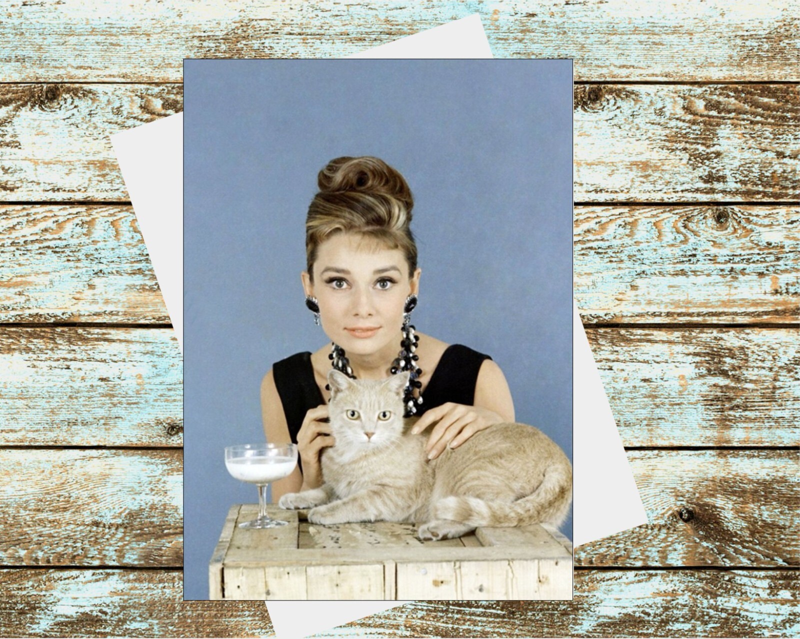 Audrey Hepburn Cat