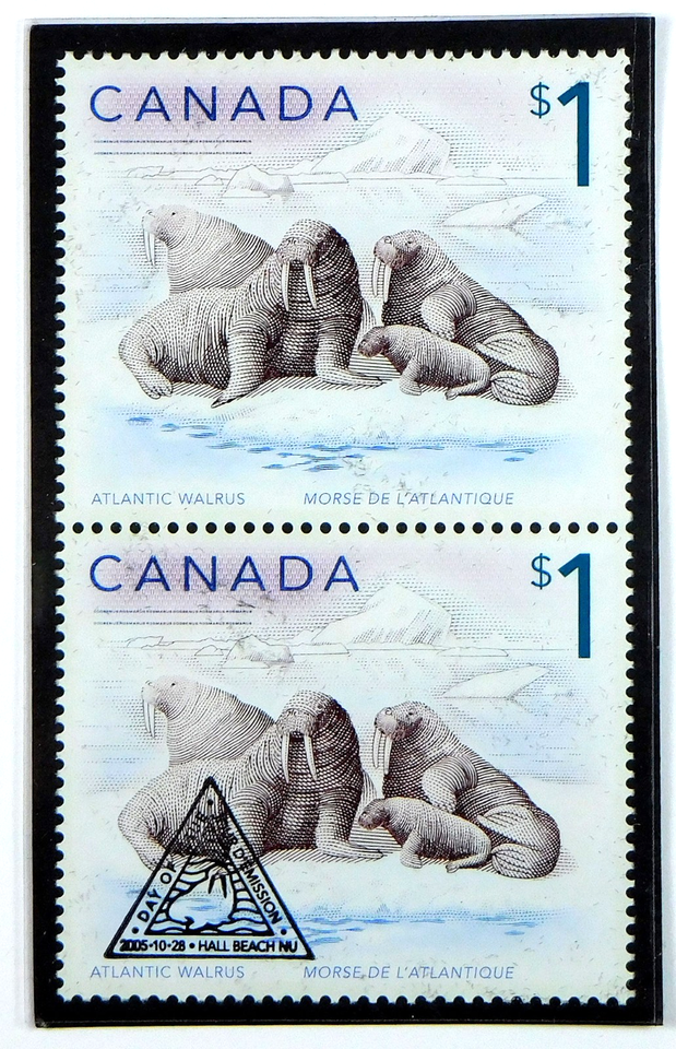 2005 $5 Canada Atlantic Walrus & Calf Silver Coin & Stamp Set - OGP | eBay