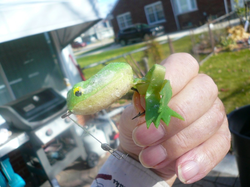 2 VINTAGE BILL PLUMMER FROGS, LEGS INTACT LOVED IN JAPAN | eBay