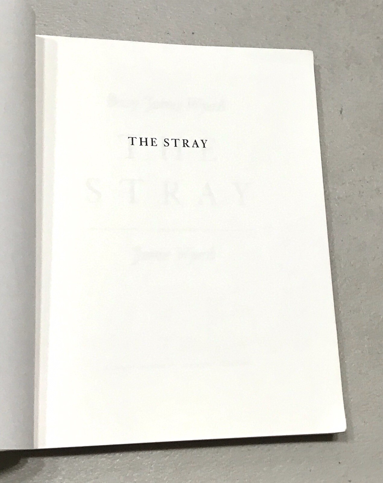 Vintage 1979 The Stray, 1st Ed. B.Wyeth Illustrated Farrar Straus ...