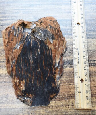 Lot 75, Natural India Hen Neck Cape Feathers for Fly Tying | eBay