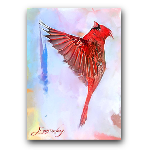 Cardinal #91 Art Card Limited 11/50 Edward Vela Signed (Animals Birds ...