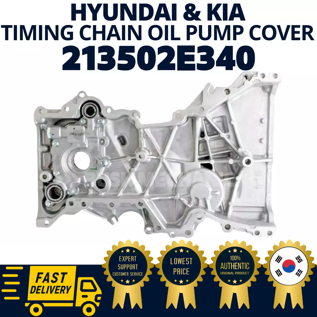 GENUINE OEM Hyundai Kia Timing Chain Oil Pump Cover Valve 213502E340 | eBay