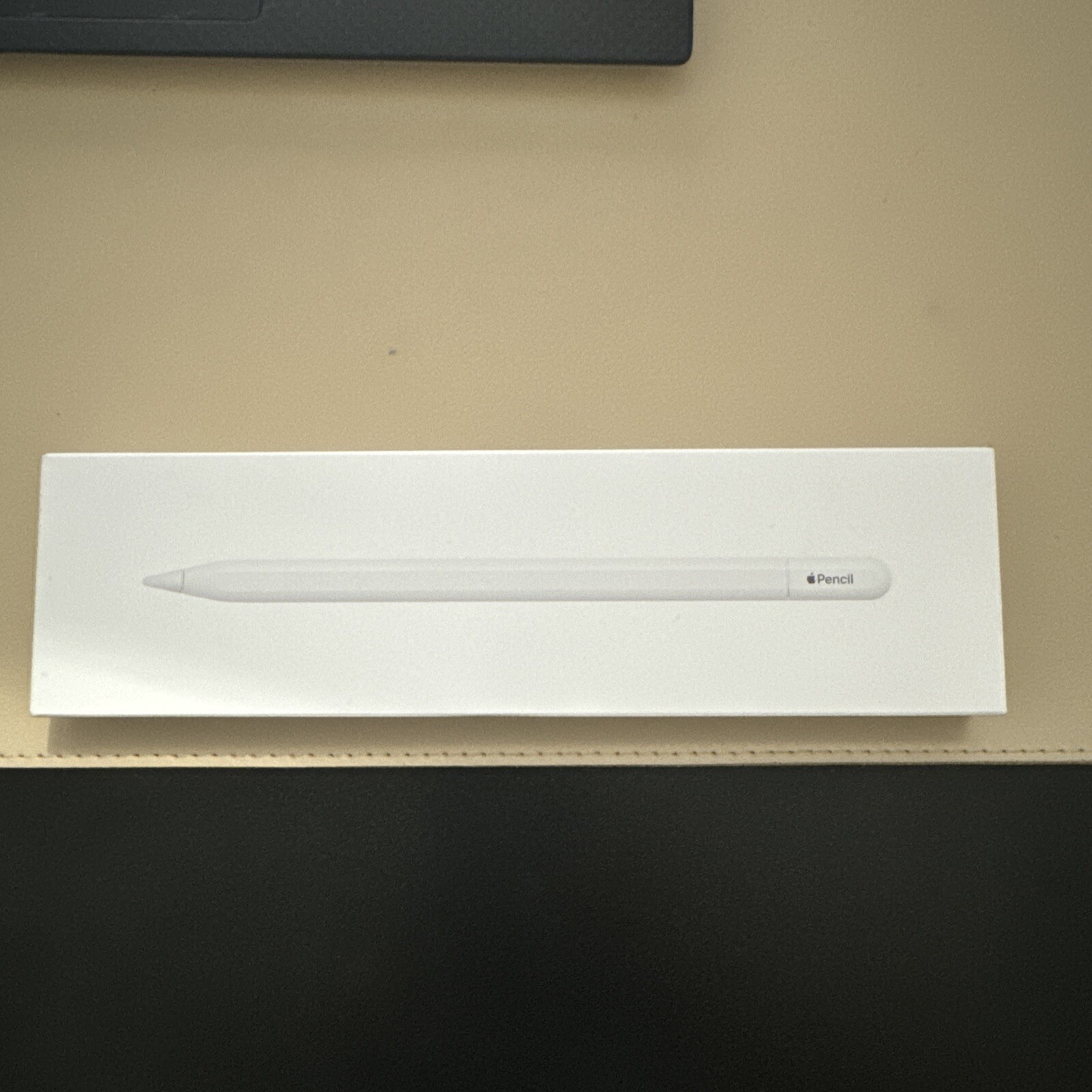 Apple Pencil (USB-C) - White (MUWA3AM/A3085) 2023 Model | eBay