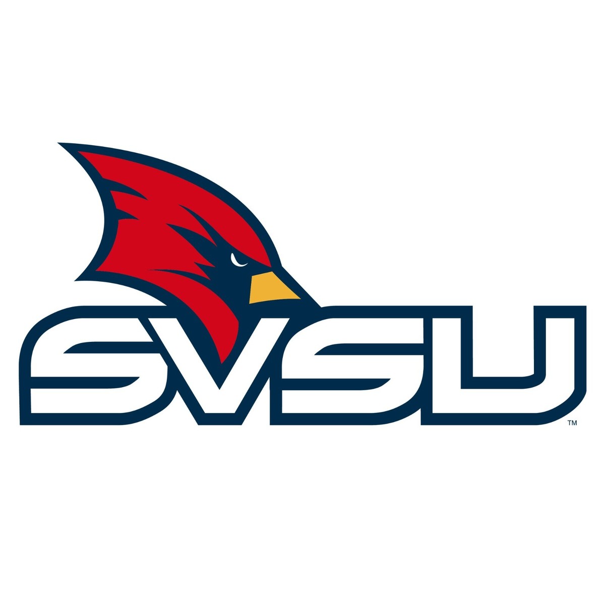 Saginaw Valley Logo Saginaw Valley State University Scholarships