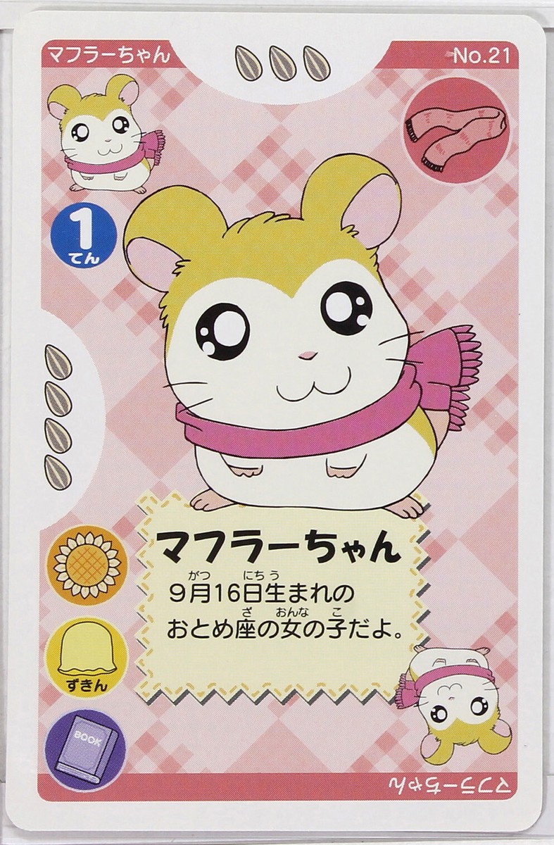 Pashmina Hamtaro