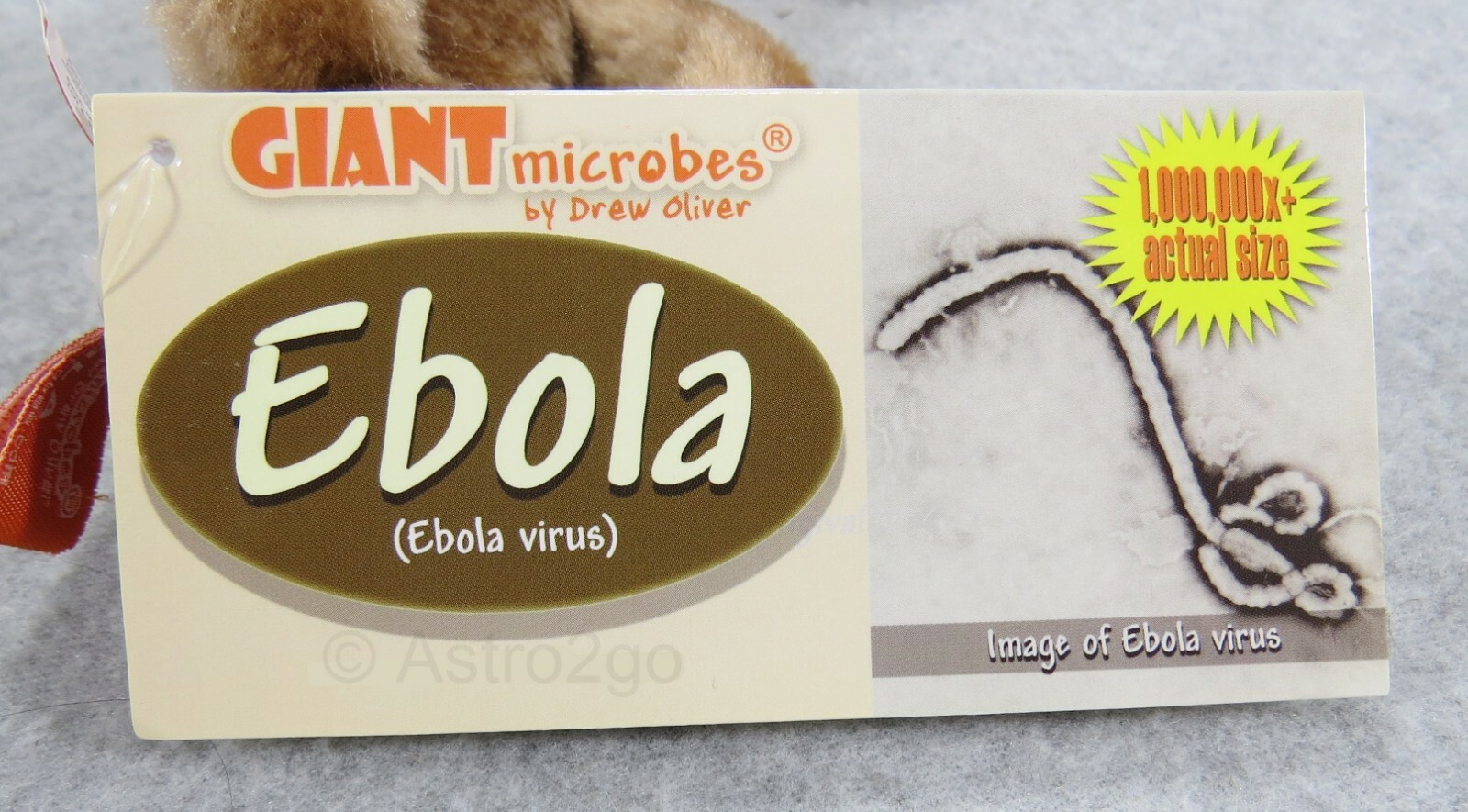 GIANT MICROBES-EBOLA-Stuffed Plush Virus Infectious Disease Biology ...