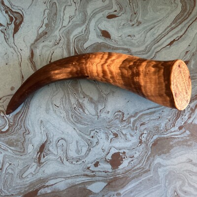 Antique Black Powder Horn, Circa 1850 | eBay