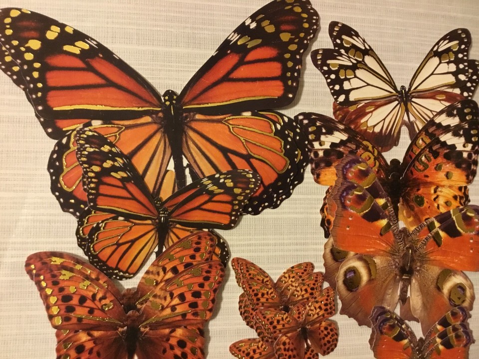 Floral Garden diecut butterflies 33 U choose pink gold or green + 40 ...