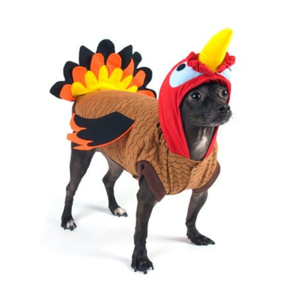 Turkey Dog Costume