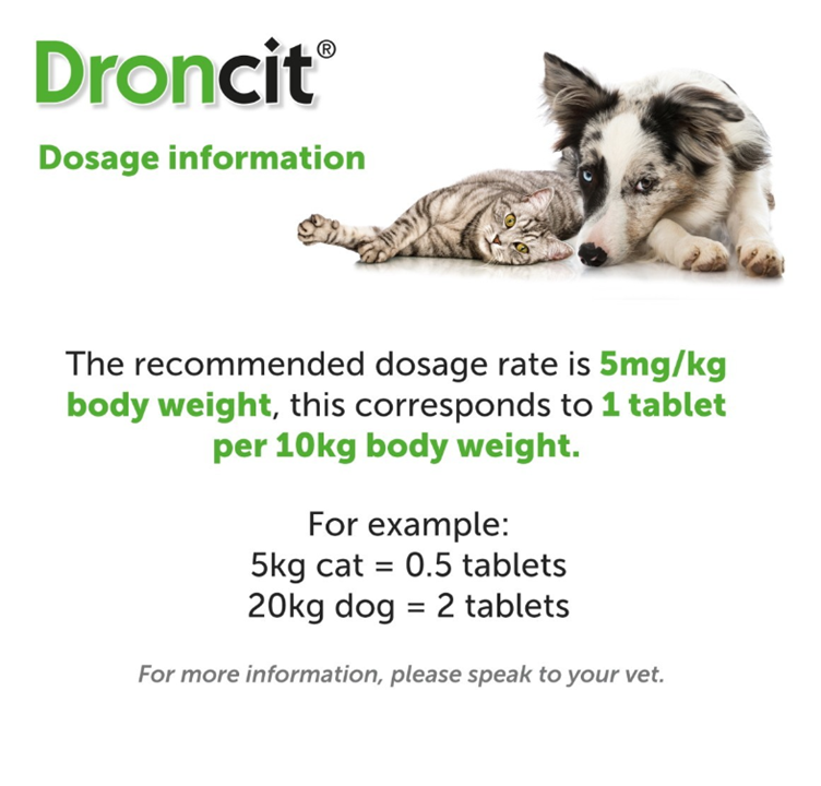 8 x Droncit Tapeworm Worming Tablets, fast effective For Dogs and Cats ...