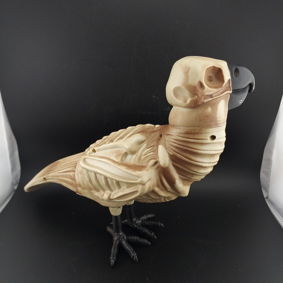 Pan Asian Creations Vintage Animated Light Up Bird Skeleton Halloween ...