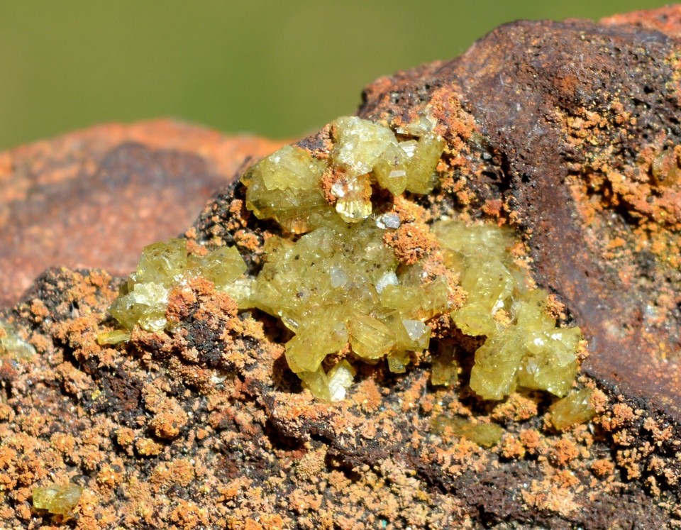 Adamin & Conichalcite & Limonit 249 Gramm - Ojuela Mine,Durango,Mexiko ...