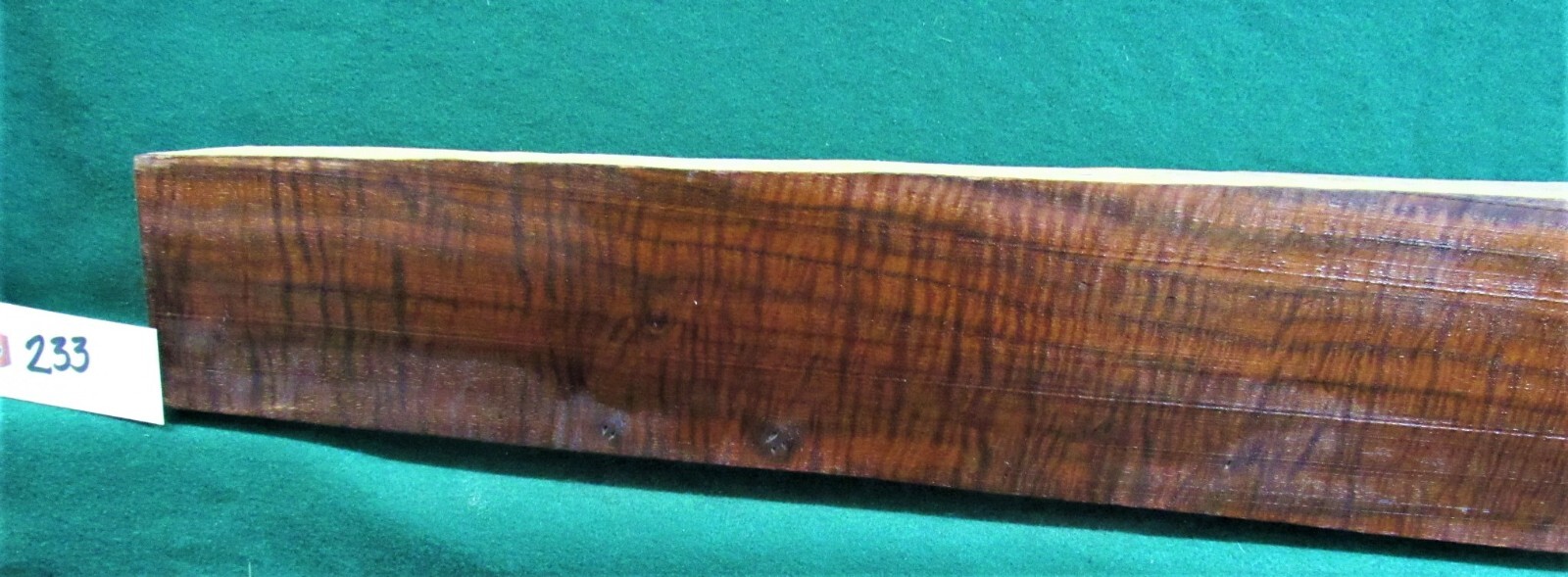 Exhibition grade Claro Fiddleback gorgeous walnut blank ! Extra THICK ...