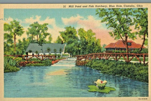 VIntage Postcard-31, Mill Pond and Fish Hatcery, Blue Hole, Castalia ...