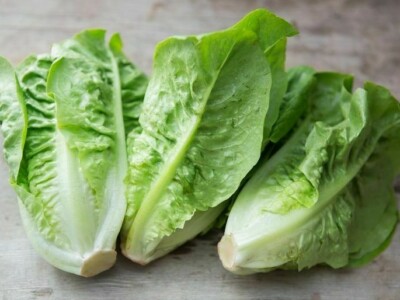Lettuce (Mini Cos - Little Gem) - 100 seeds - >Organic >Tasmanian Grown ...