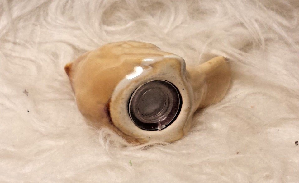 Small Song Bird Salt and Pepper Shakers Pair (2) Beige Bird Petite ...