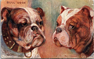 Postcard Bull Dogs Tuck & Son's Oilette | eBay