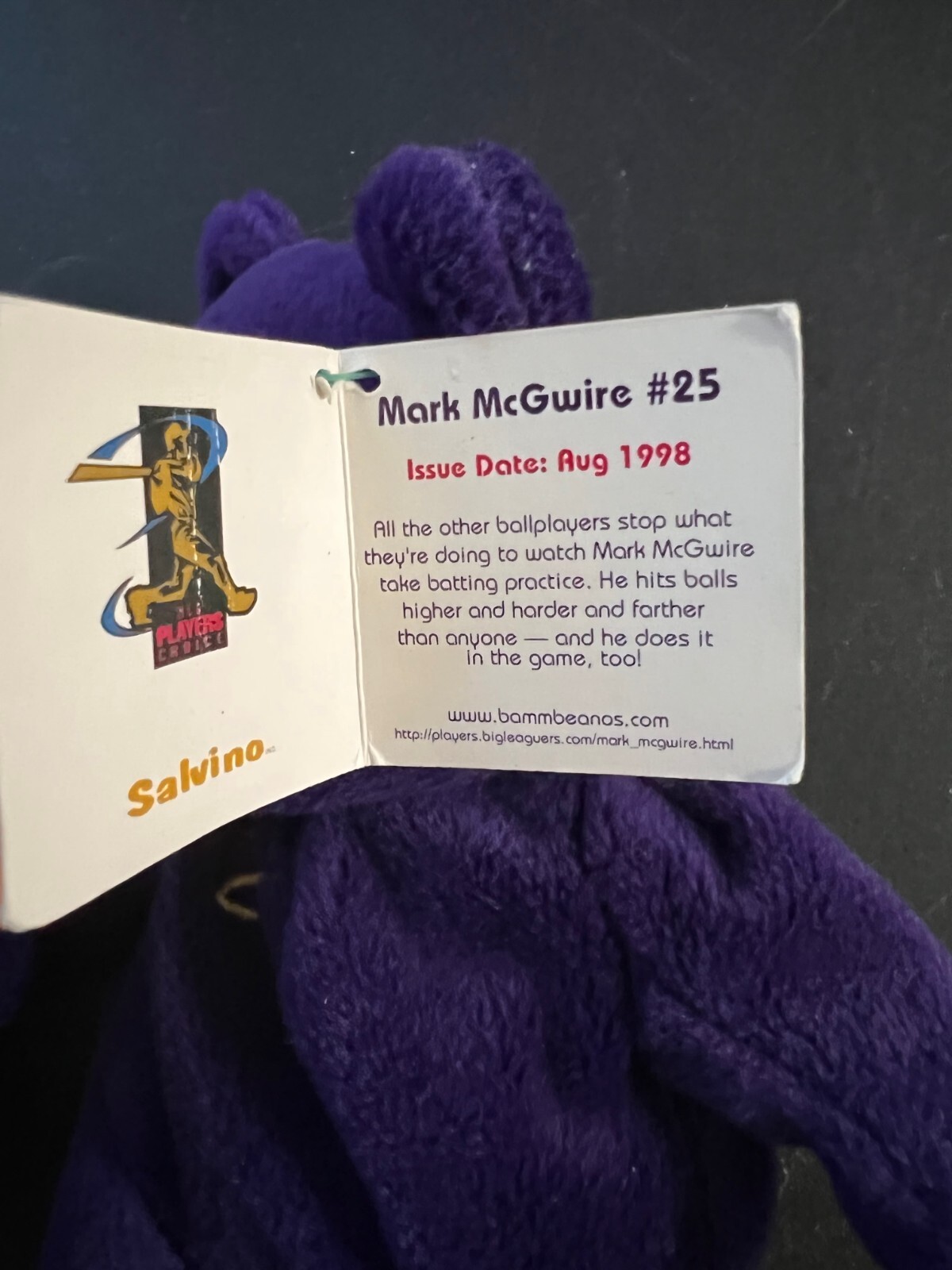 Mark McGwire #25 Salvino's Bamm Beano Plush Bear Purple Beanie Baby 9” | eBay