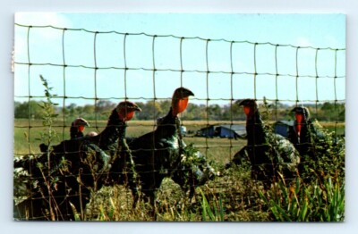 Postcard IN 1966 Valparaiso Strongbow Turkey Farm & Inn K10 | eBay