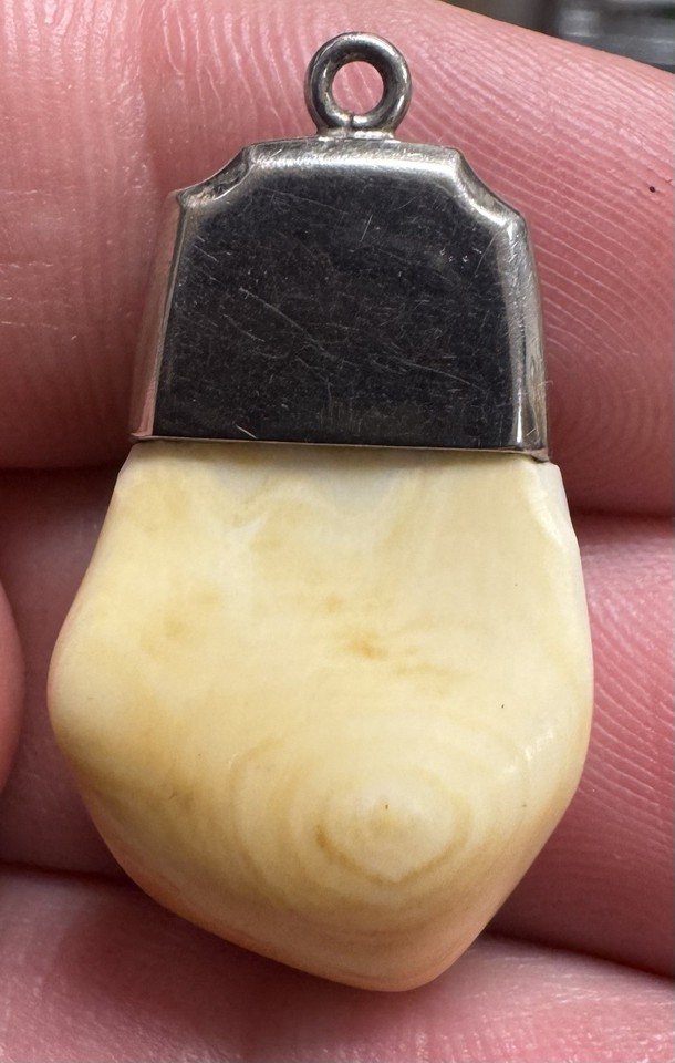 Antique BPOE Elks Tooth Pendant 1.25" Fob 5.8 Grams | eBay