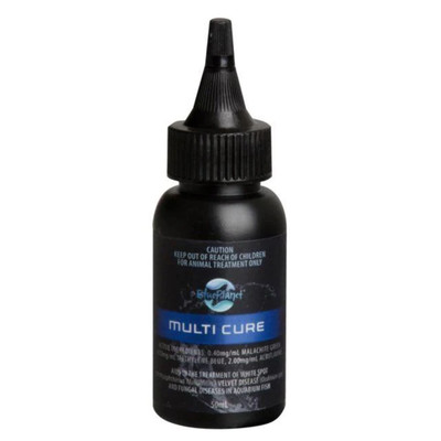 Blue Planet Multi Cure 50ml | eBay