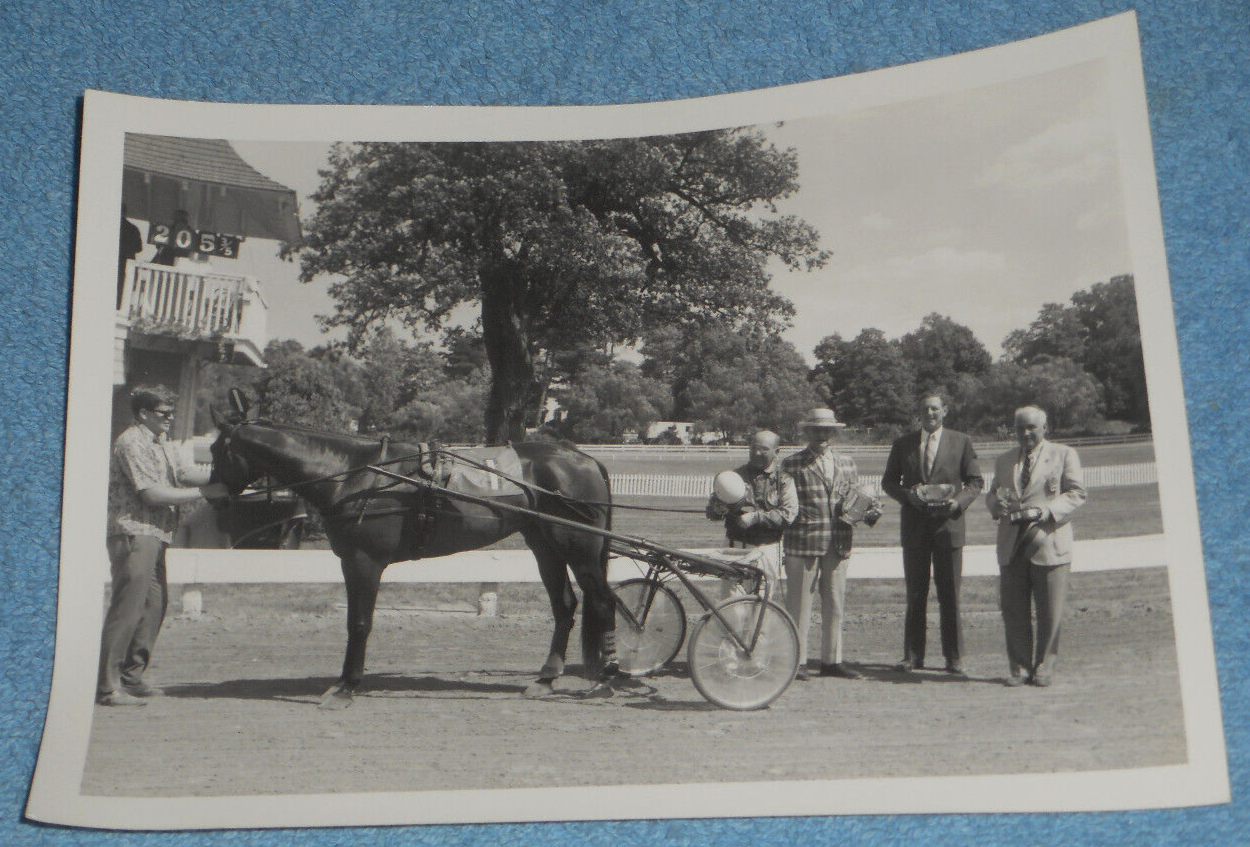 Circa 1971 Harness Racing Photo Horse "My Own Star" Delvin Miller ...