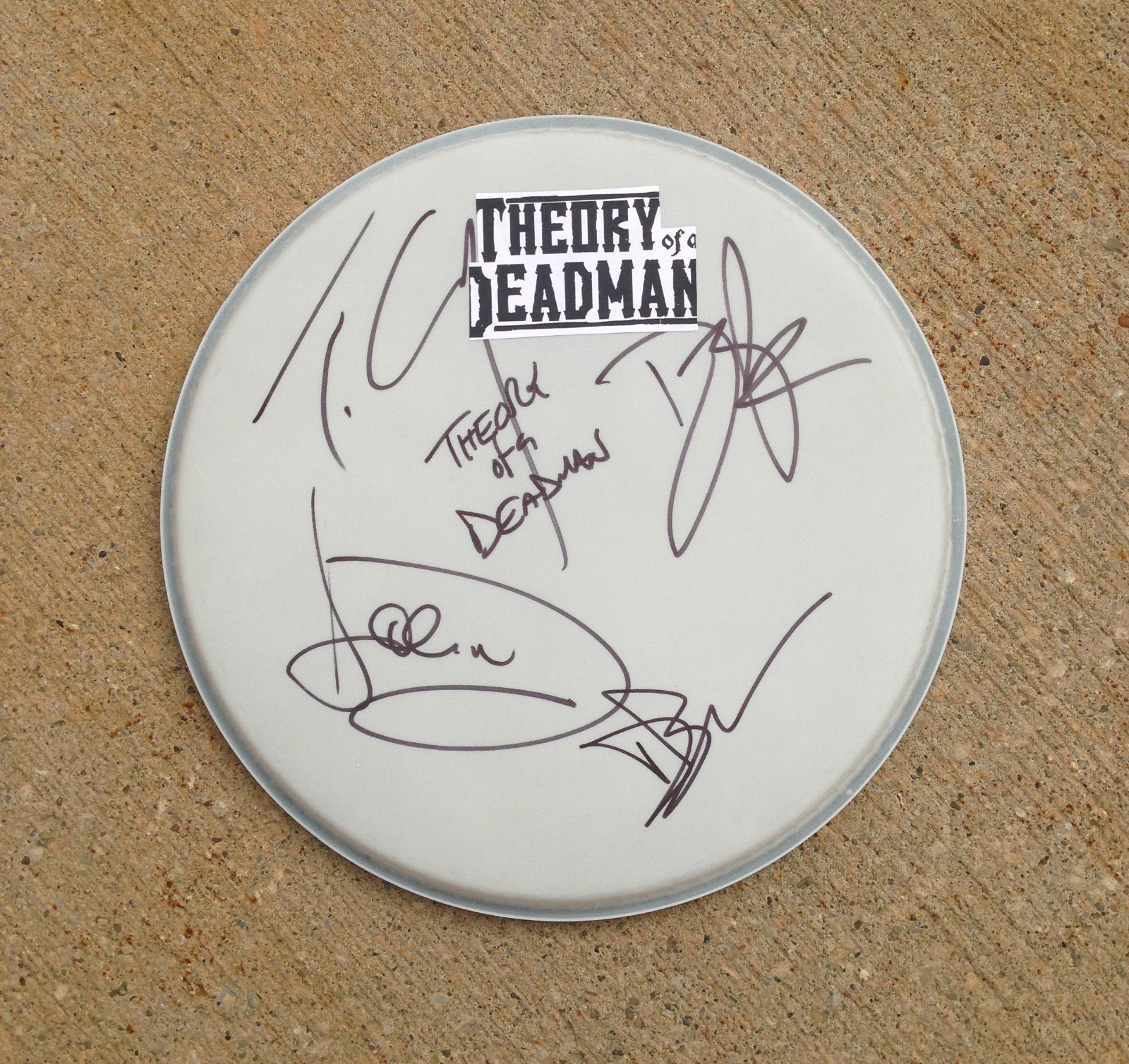 The Truth Is... THEORY OF A DEADMAN Band Group Signed Autographed Drum ...