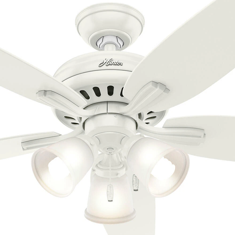 Modern Glass Shades For Ceiling Fans | Shelly Lighting
