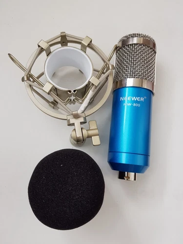 Neewer Nw 800 Micr Fono in Deutschland kaufen | Bester Preis 2025 - Lowpi