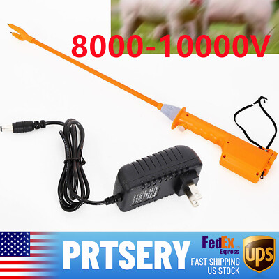 Livestock Supplies - Cattle Prod