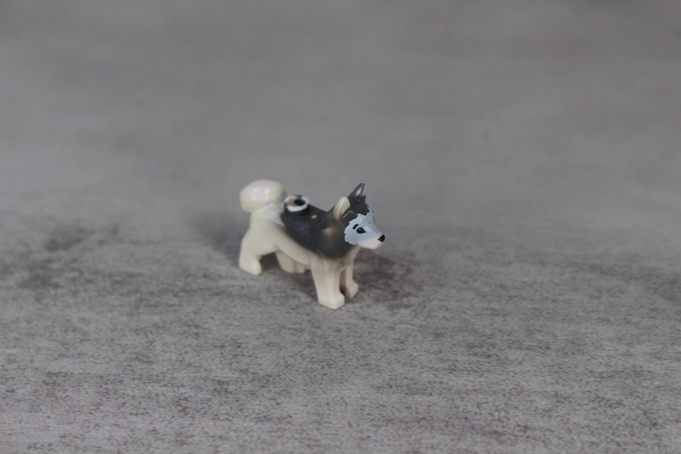 LEGO - White Gray Husky Sled Dog w Bone - Animal Minifigure Wolf Arctic ...