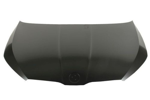 Motorhaube Blic für Skoda Fabia IV PJ3 2021 -> | eBay.de