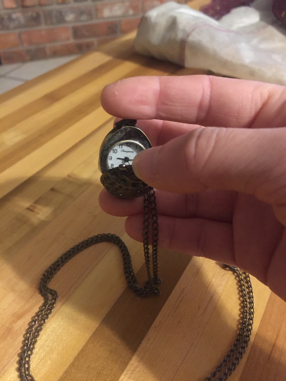 Ladybug Pocket Watch | eBay