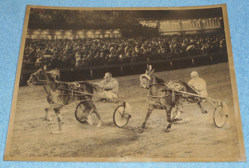 Harness Racing Photo Horse "Thunder Almahurst" Del MacTavish Sr ...