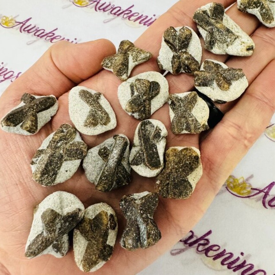 Staurolite (Fairy Cross Stone) - Natural Rough Raw - 1 Stone | eBay