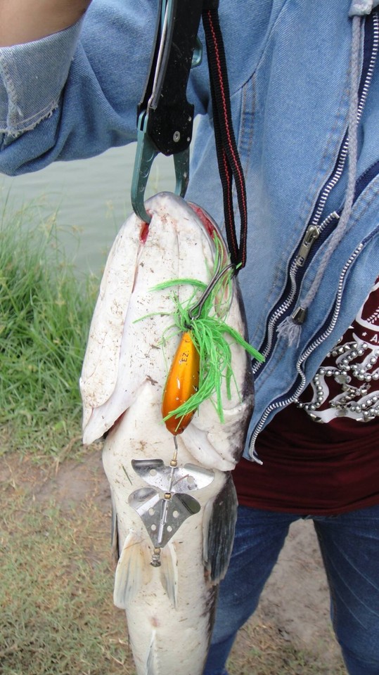 05 / HANMADE DOUBLE BLADED BUZZBAIT. BASS, NORTHERN PIKE, MUSKIE/ MUSKY ...