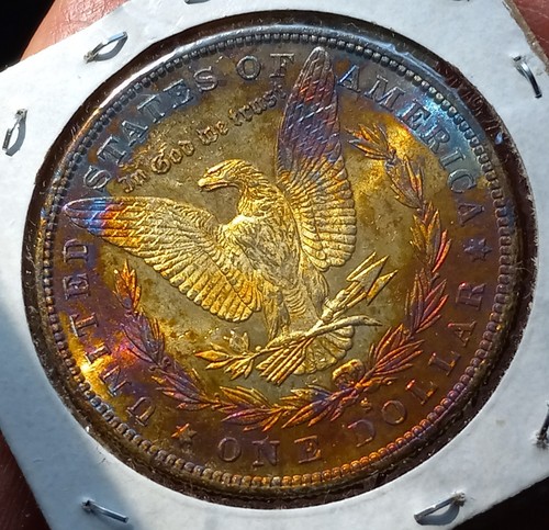 1881-S Rainbow Toned Morgan Silver Dollar Pulled From PCI Slab | eBay