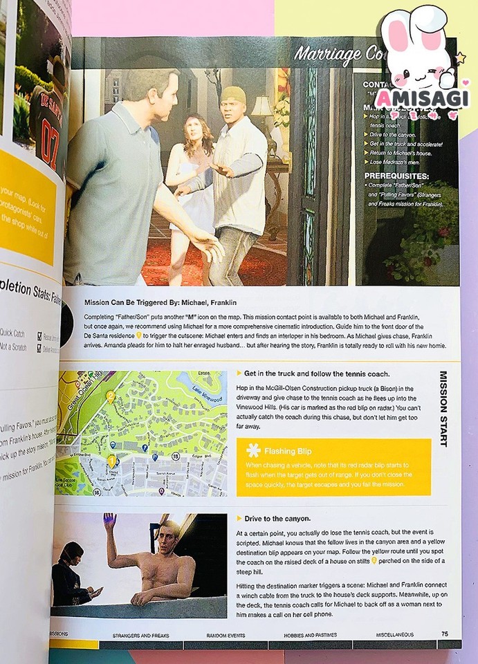 Grand Theft Auto V (GTA 5) Édition Limitée - Le Guide Officiel En ...