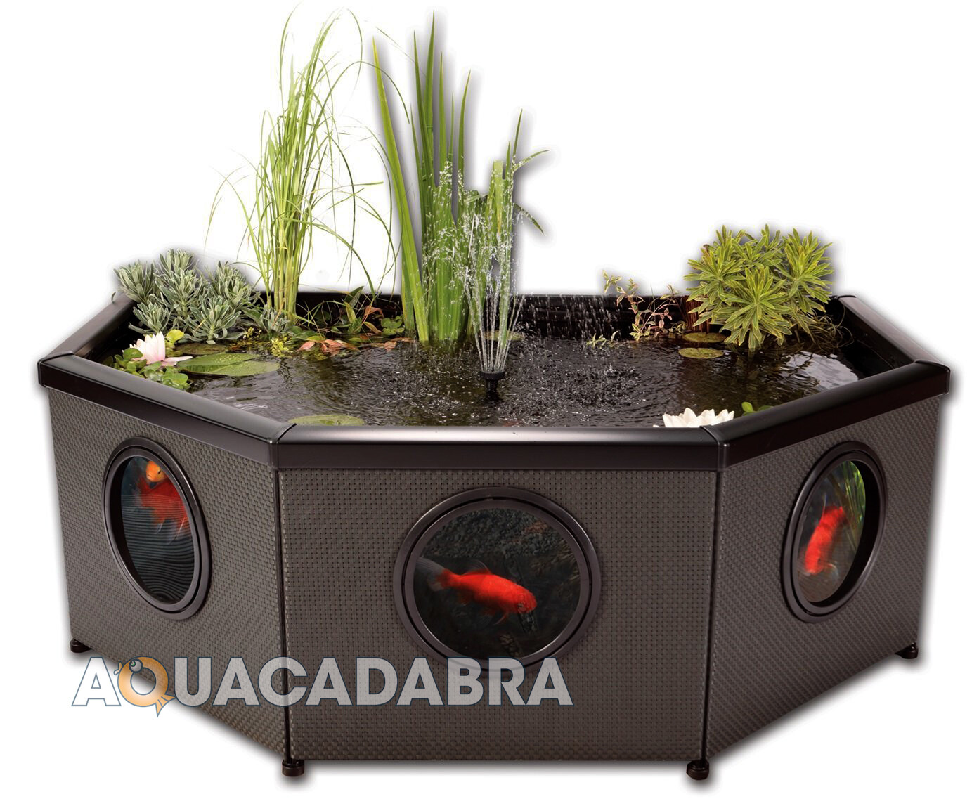 BLAGDON AFFINITY MOCHA FISH POND KOI COLDWATER PATIO AQUARIUM POOL ...