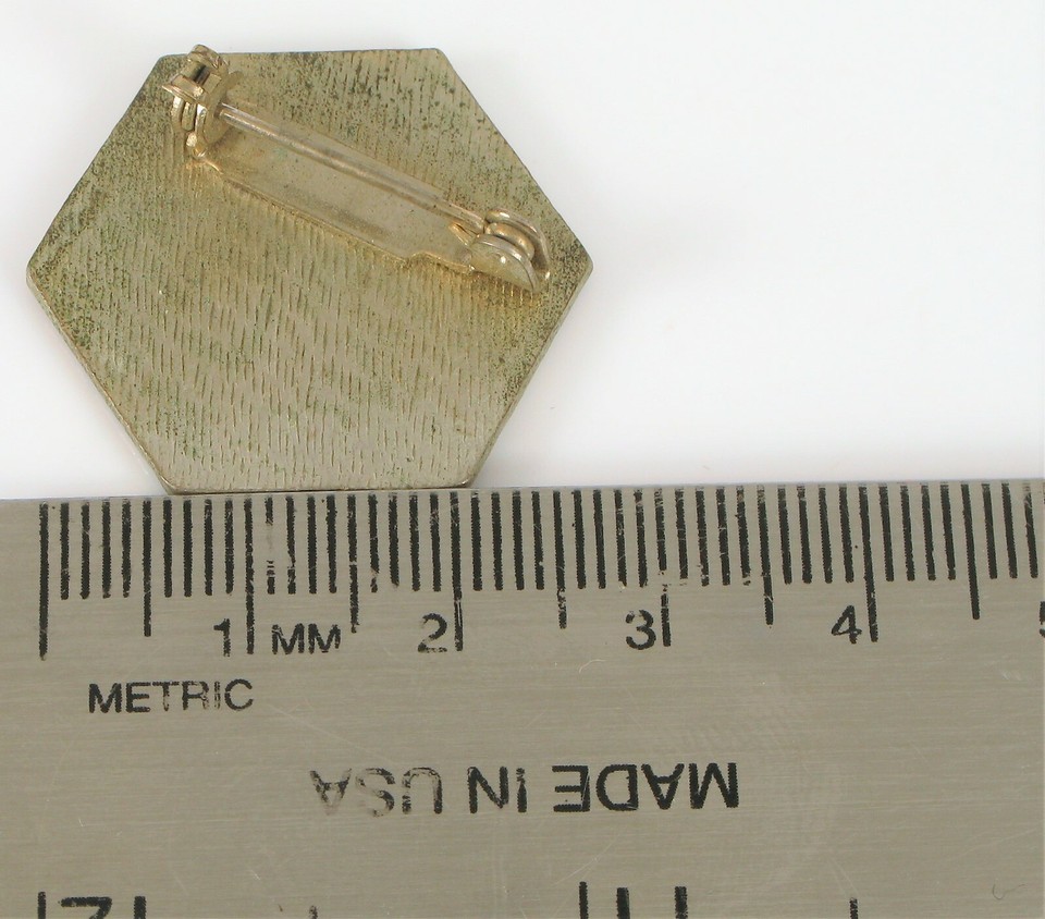 VINTAGE SKINIKS SKI LA ROSERIE ALPINE SKIING RESORT ENAMEL PIN MONT ...