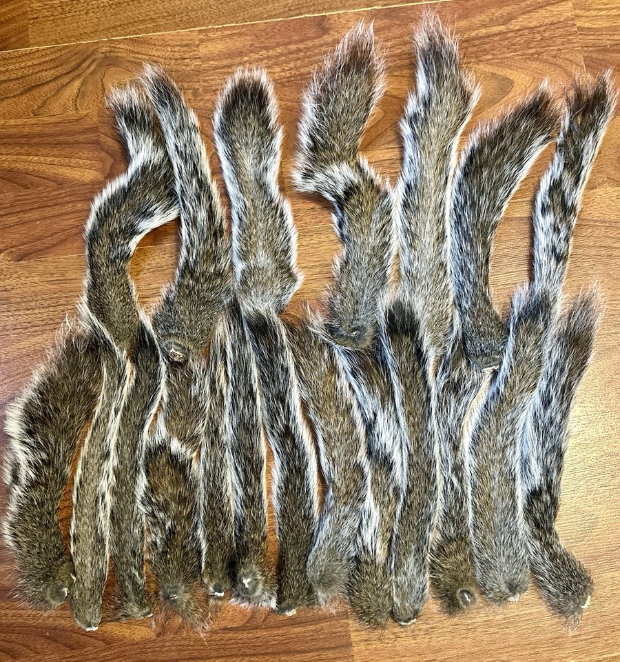 Genuine Real Gray & Red Squirrel Tails - Oddity/Crafting/Fly Fishing ...